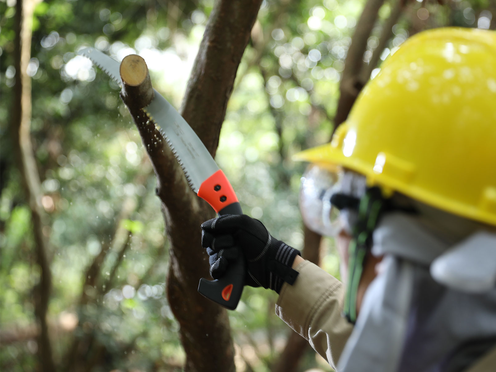 Curved Pruning Saw -Expert